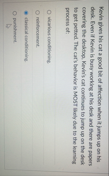 Solved Kevin gives his cat a good bit of affection when it | Chegg.com