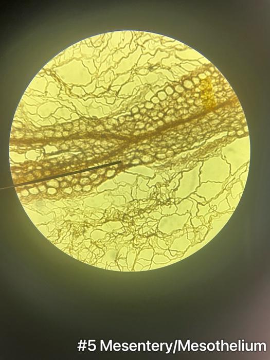 Solved Completely label the figures belowFigure 1. | Chegg.com