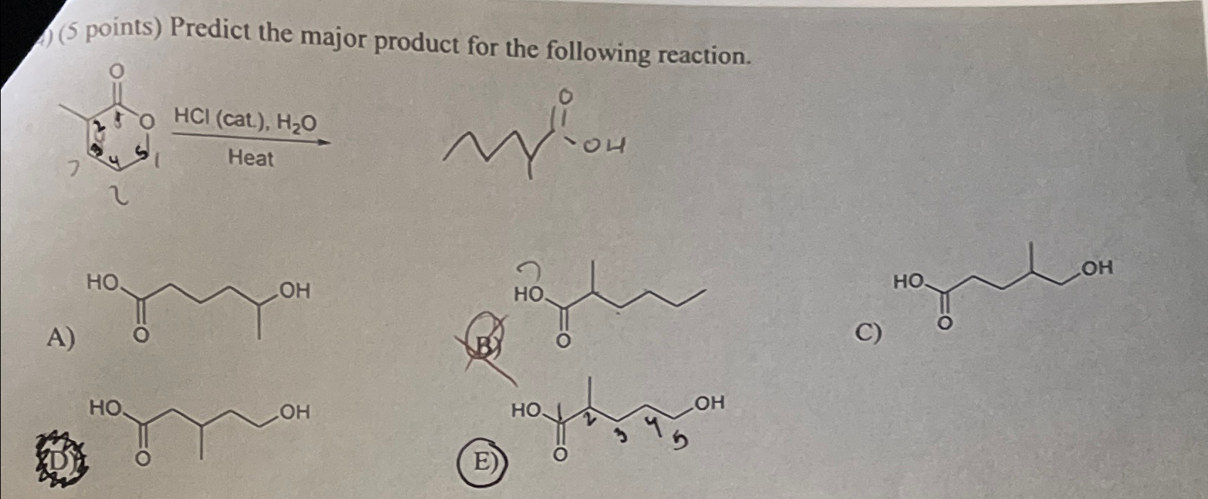 Solved (5 ﻿points) ﻿Predict the major product for the | Chegg.com