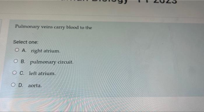 Solved Pulmonary veins carry blood to the Select one: O A. | Chegg.com