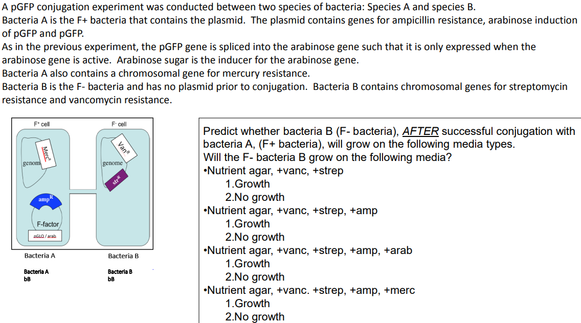 Solved A pGFP conjugation experiment was conducted between | Chegg.com