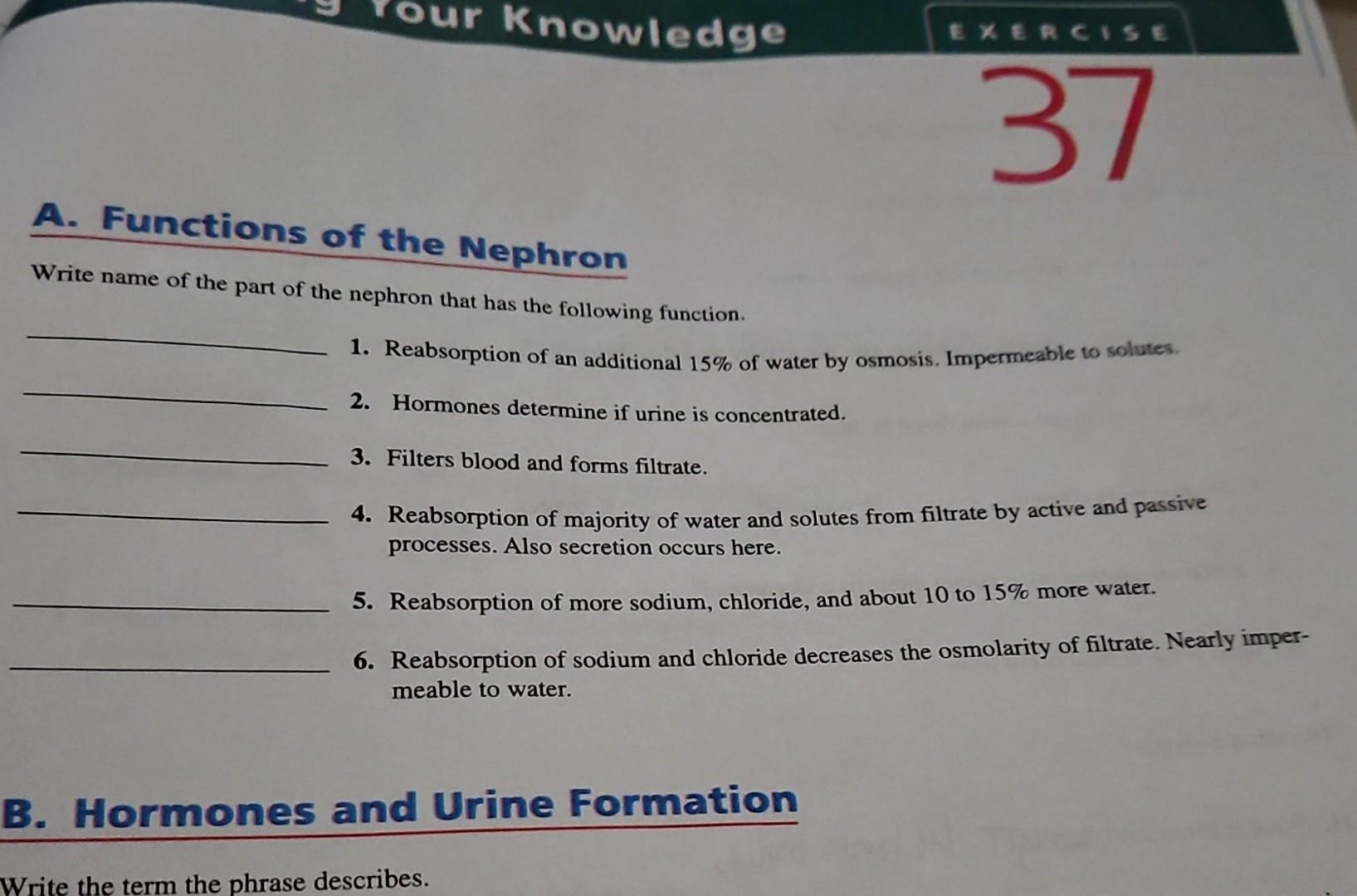 Solved the Nephron Write name of the part of the nephron | Chegg.com