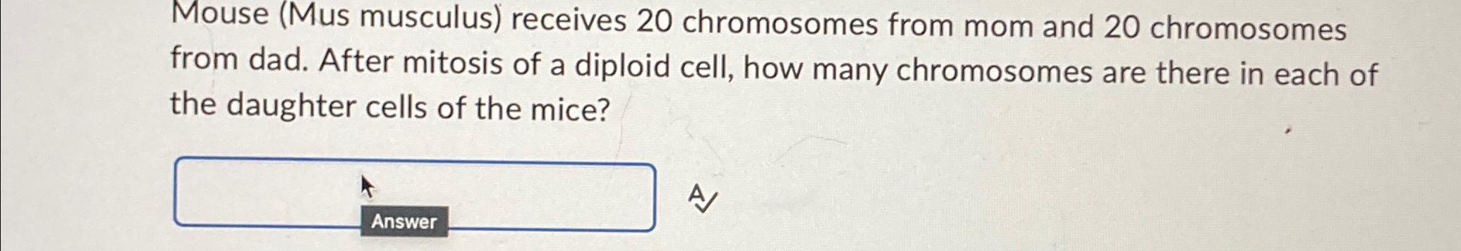 Solved Mouse (Mus musculus) ﻿receives 20 ﻿chromosomes from | Chegg.com