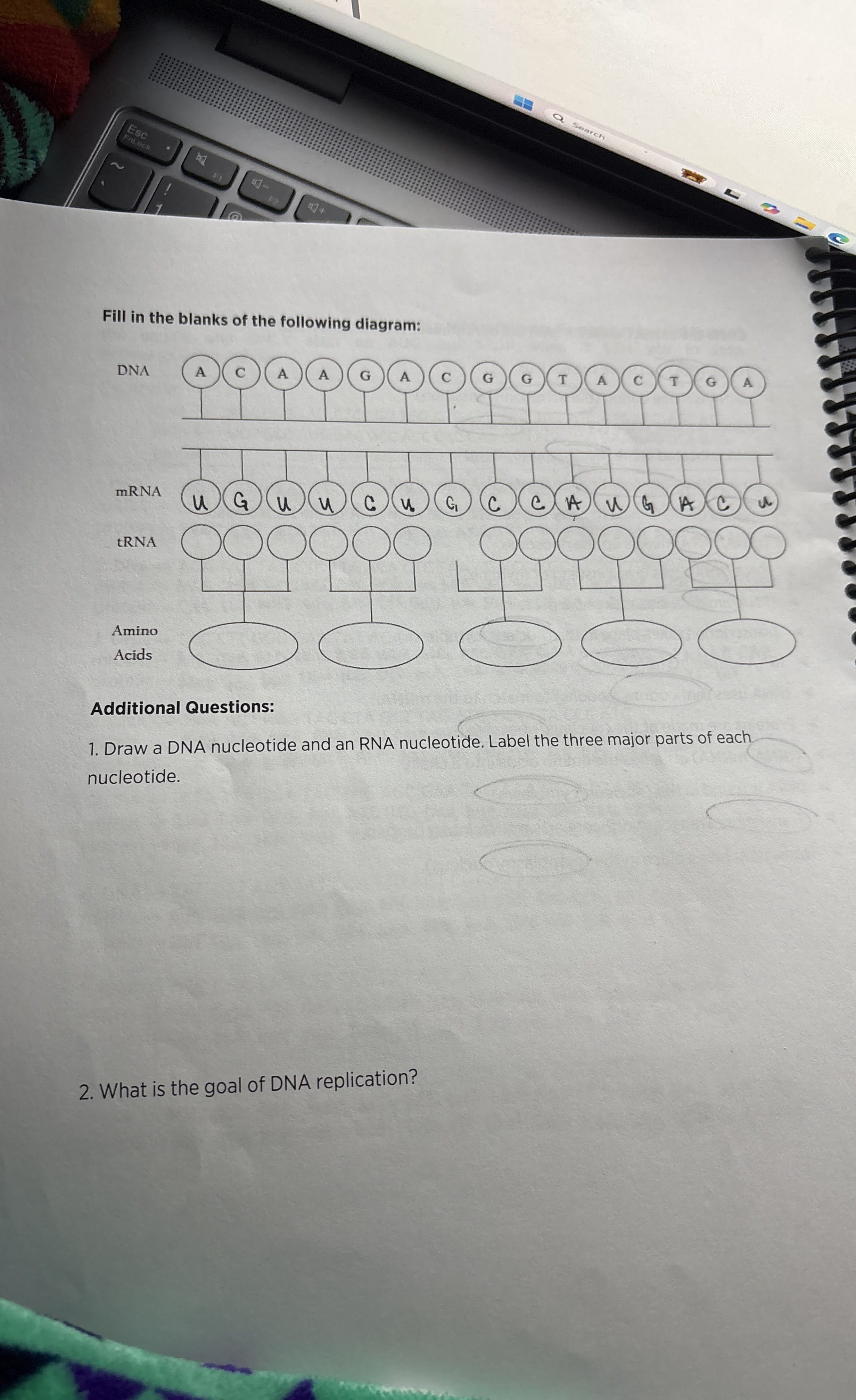 Solved Fill in the blanks of the following | Chegg.com