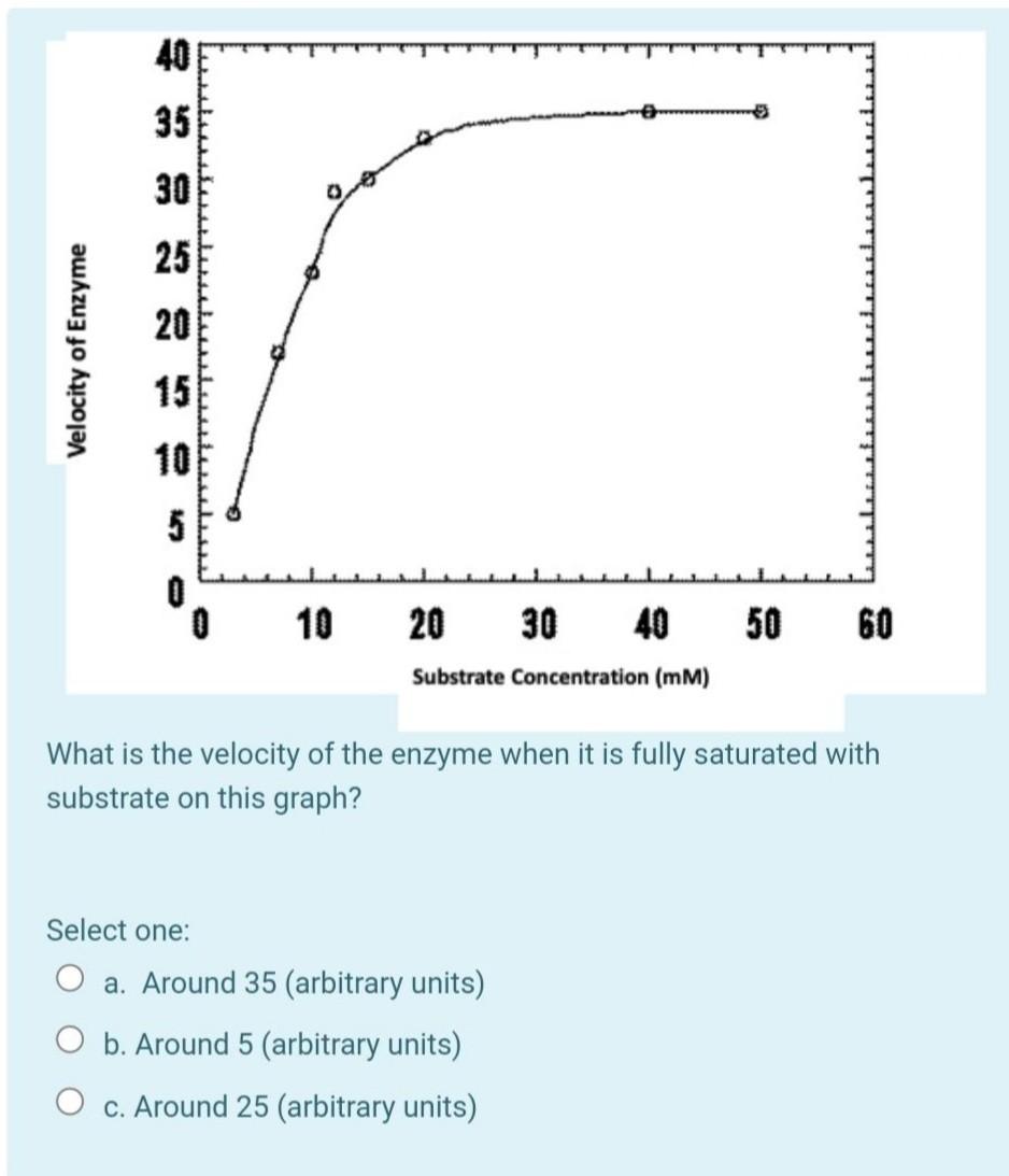 Solved 40 35 30 25 20 Velocity of Enzyme 5 10 20 30 40 50 60 | Chegg.com