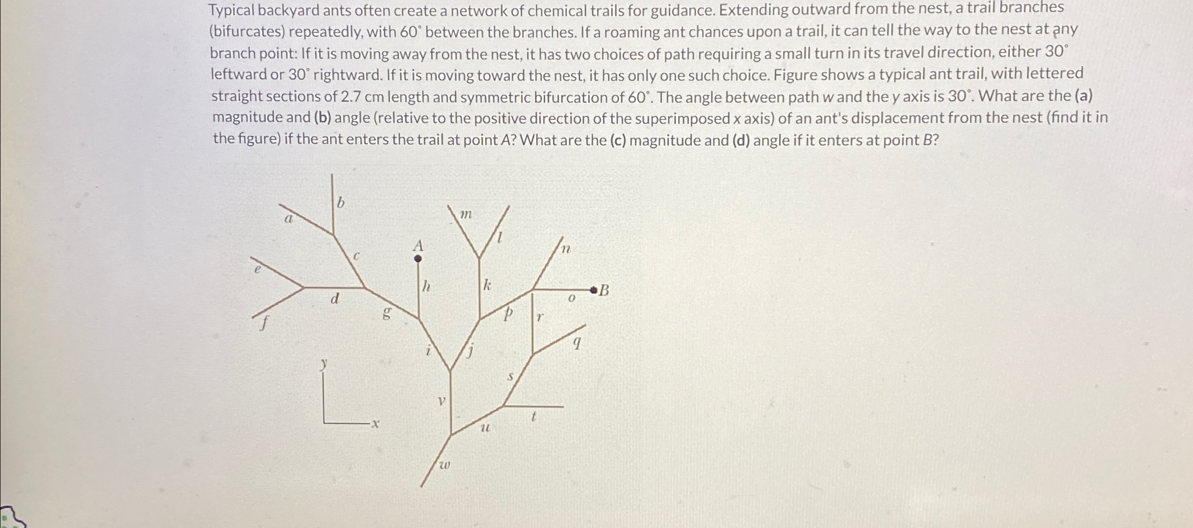 Solved Typical backyard ants often create a network of | Chegg.com