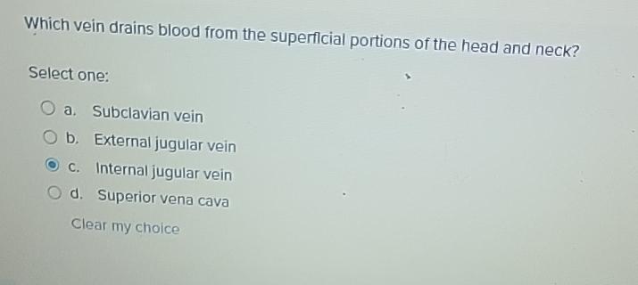 Solved Which vein drains blood from the superflcial portions | Chegg.com