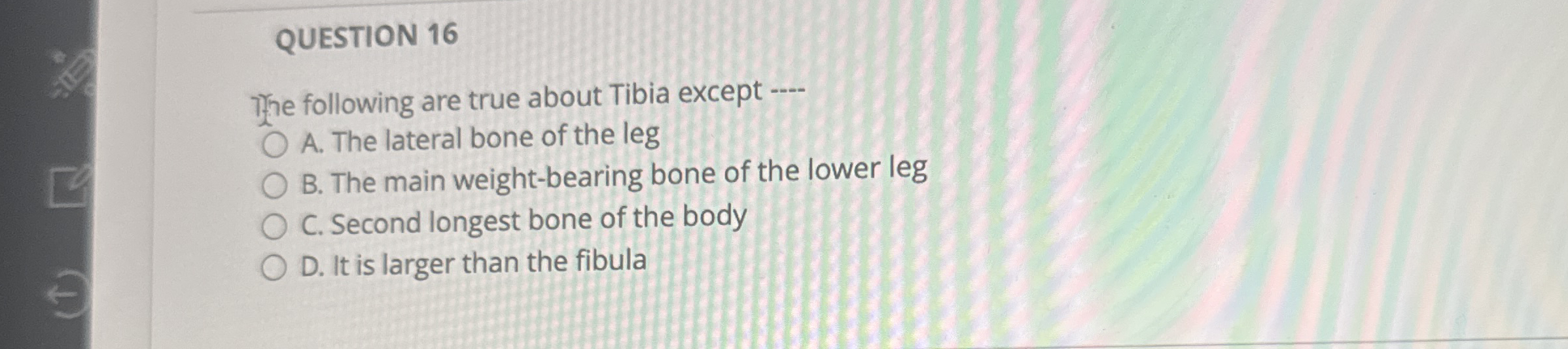 Solved QUESTION 16The following are true about Tibia | Chegg.com