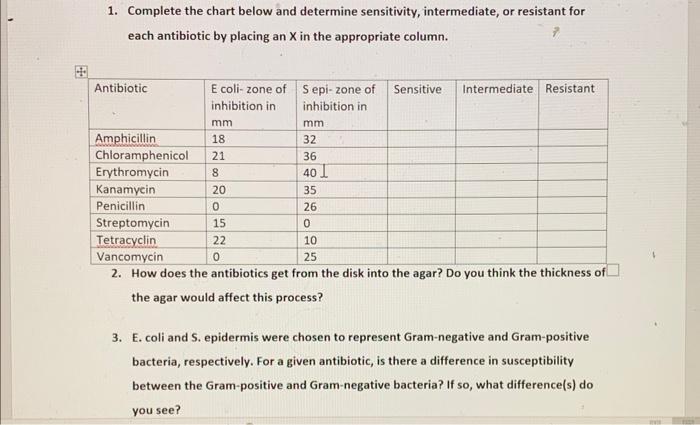 Solved 2. How does the antibiotics get from the disk into | Chegg.com