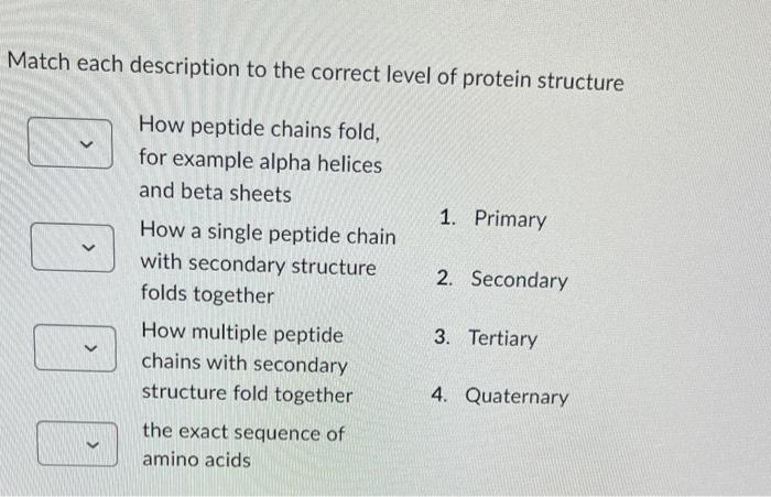 Solved Match each description to the correct level of | Chegg.com