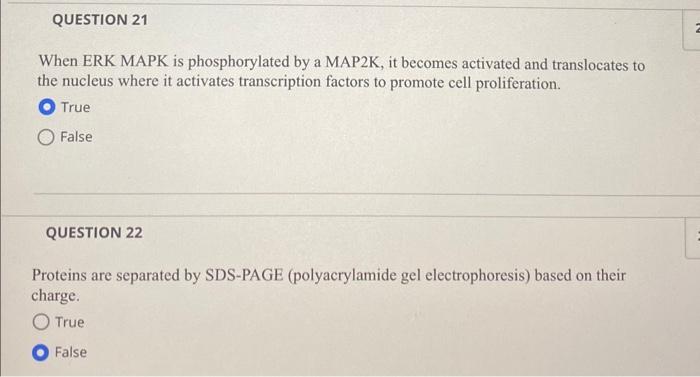 Solved When ERK MAPK is phosphorylated by a MAP2K, it | Chegg.com