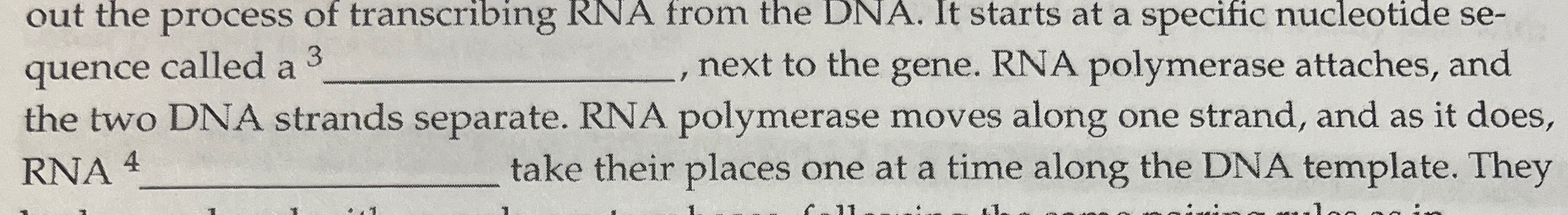 Solved out the process of transcribing RNA from the DNA. It | Chegg.com