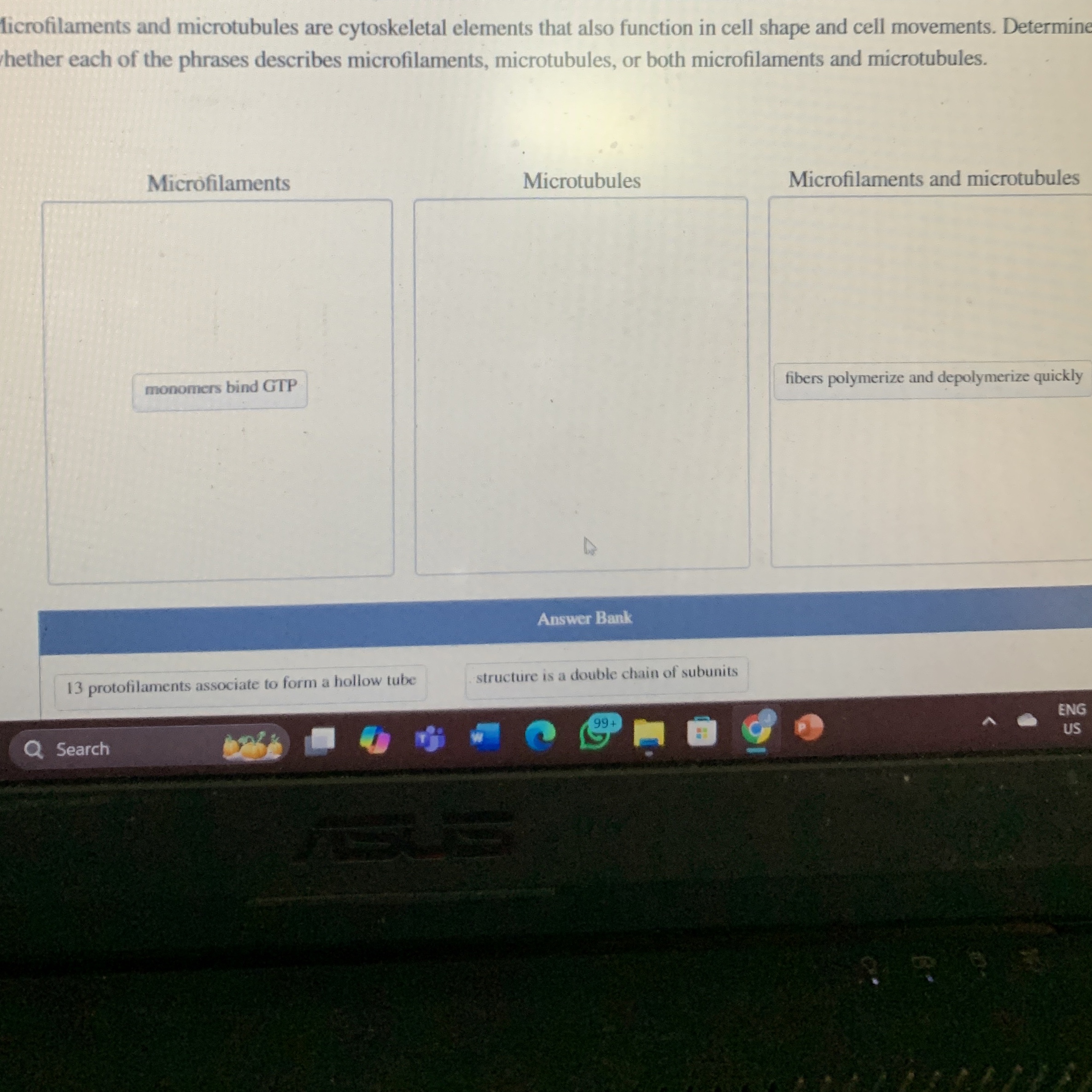 Solved ficrofilaments and microtubules are cytoskeletal | Chegg.com