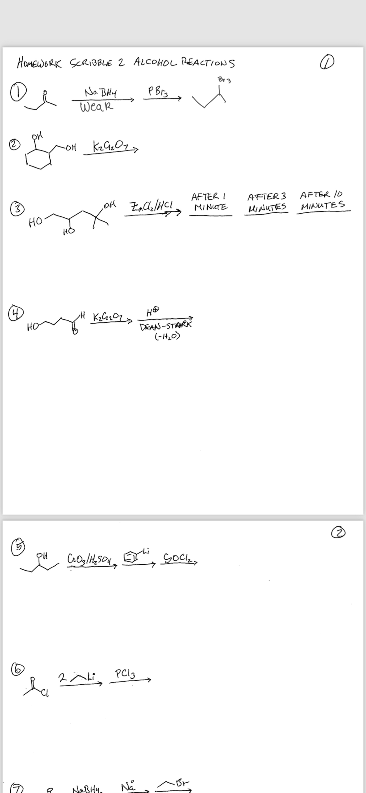 Solved Homework scribble 2 ﻿alcohol reactionsWhat are is the | Chegg.com