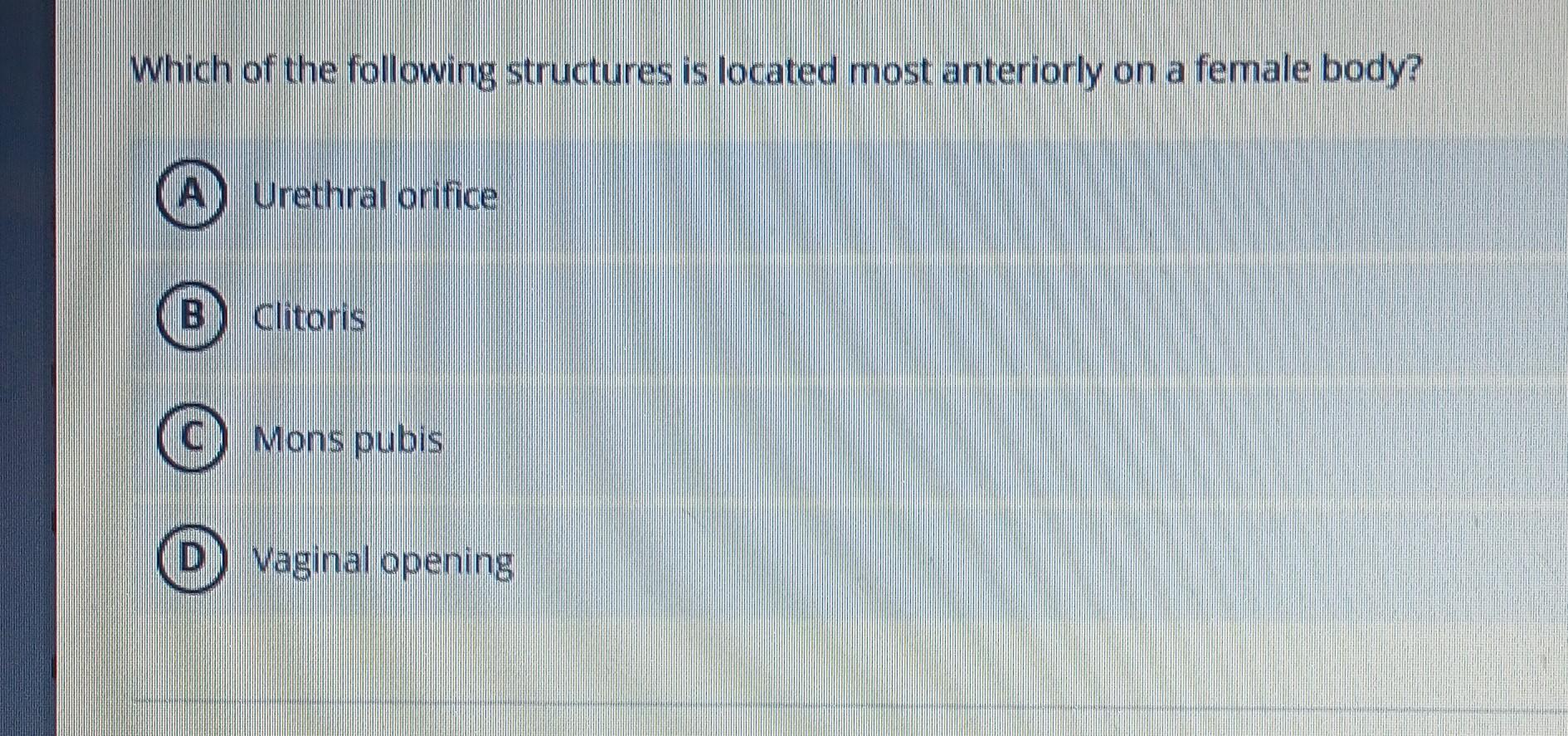Solved Which of the following structures is located most | Chegg.com