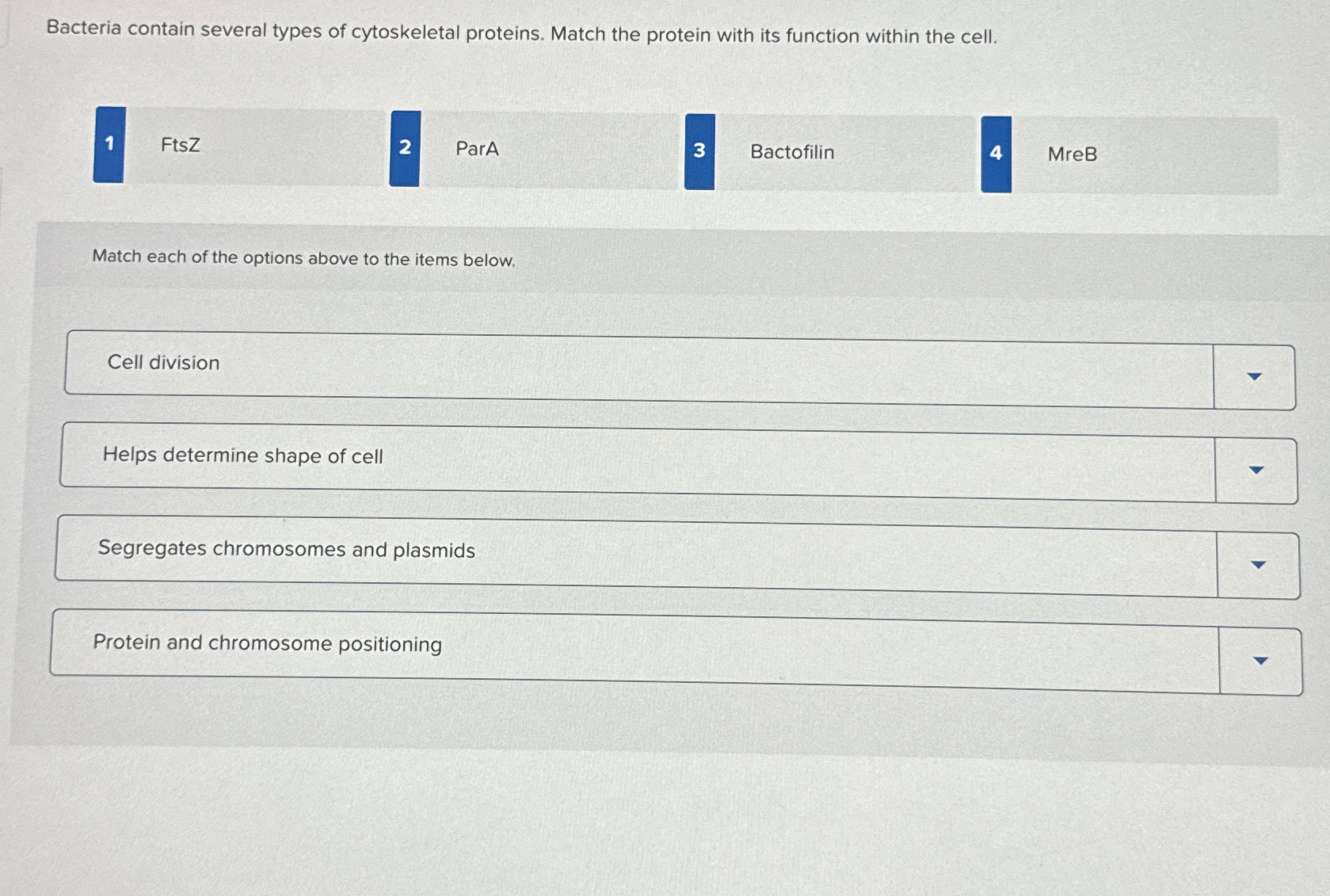 Solved Bacteria contain several types of cytoskeletal | Chegg.com