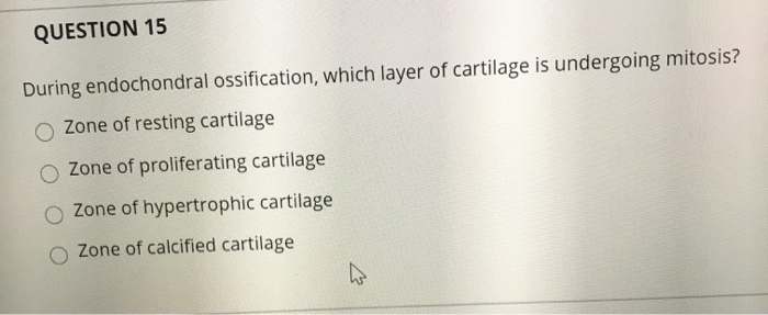 Solved QUESTION 15 During endochondral ossification, which | Chegg.com