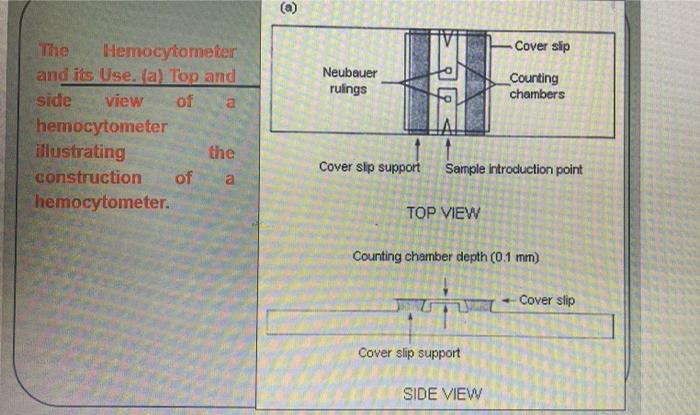 Solved (a) Cover slip Neubauer rulings Counting chambers The | Chegg.com
