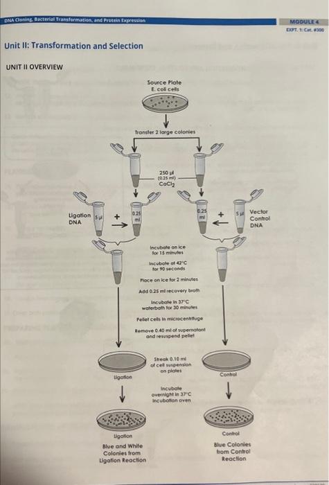 Solved Unit II: Transformation and Selection UNIT \| | Chegg.com