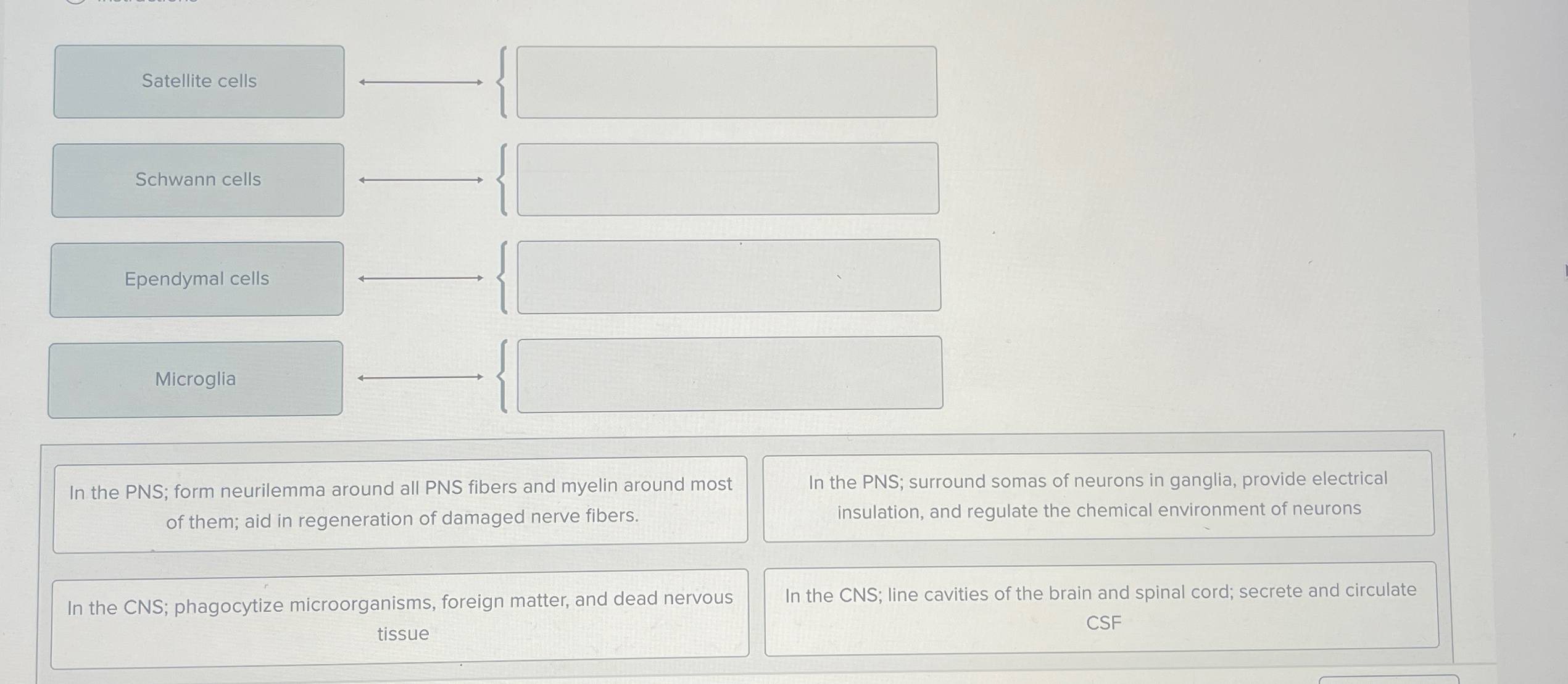 Solved Satellite cellsEpendymal cellsIn the PNS; form | Chegg.com