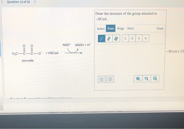 Solved Question 13 of 20 ) Draw the structure of the group | Chegg.com