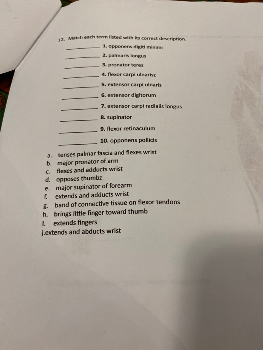 Solved Match each term listed with its correct description | Chegg.com