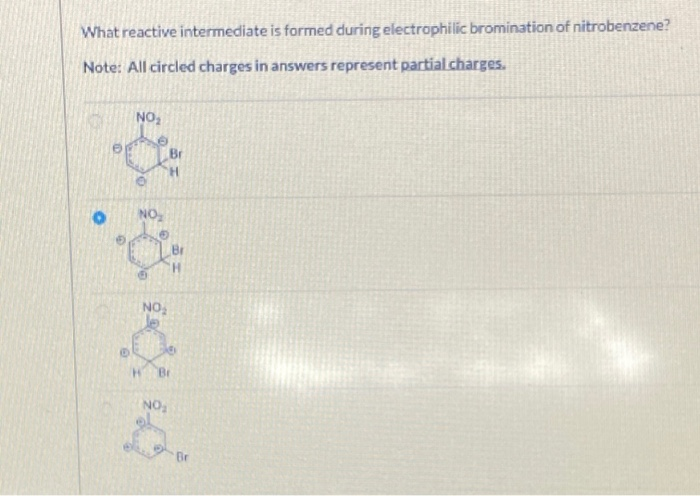 Solved What reactive intermediate is formed during | Chegg.com
