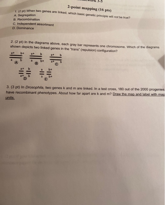 Solved 2-point mapping (16 pts) 1. (2 pt) When two genes are | Chegg.com