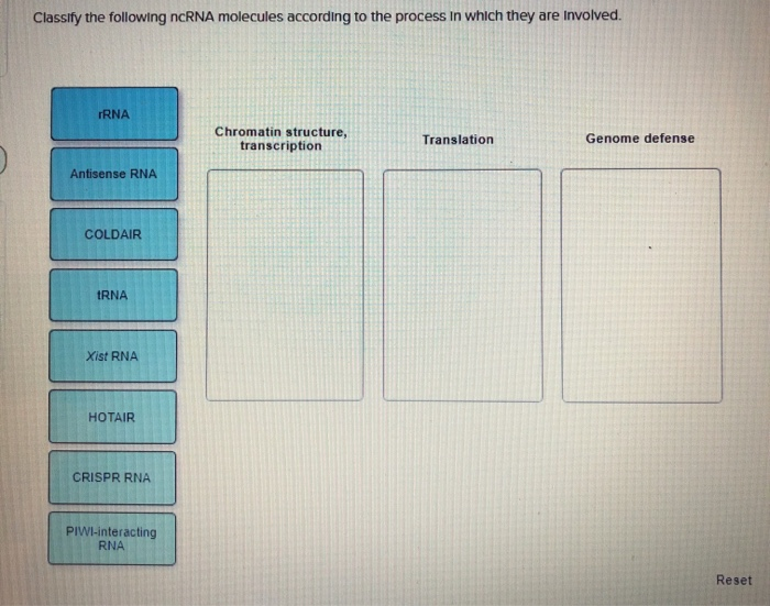 Solved Classify the following ncRNA molecules according to | Chegg.com