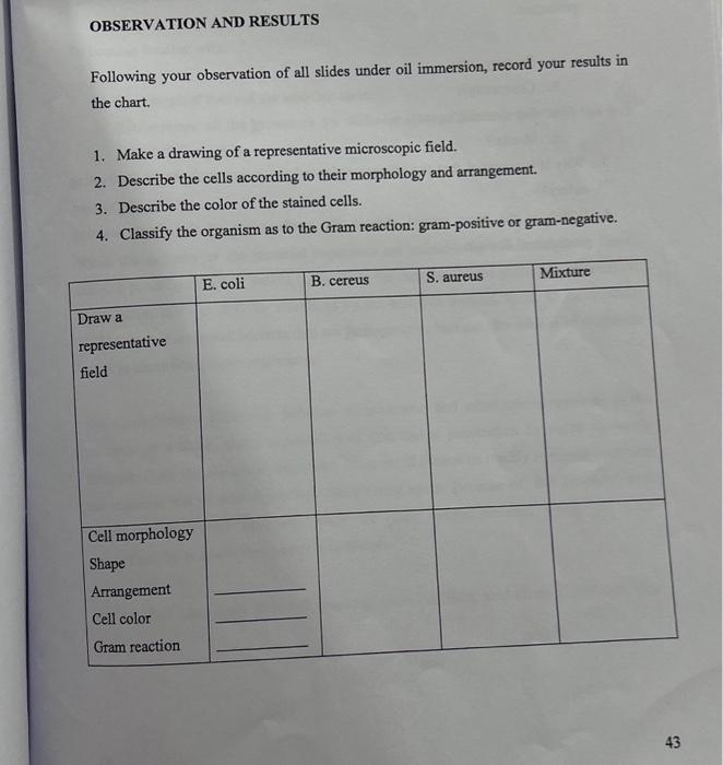 OBSERVATION AND RESULTS Following your observation of | Chegg.com