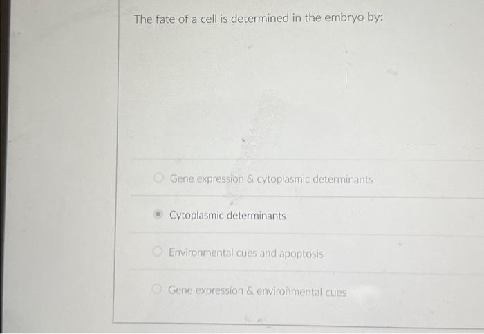 Solved The fate of a cell is determined in the embryo by: | Chegg.com