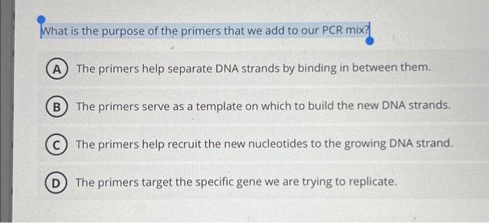 Solved What is the purpose of the primers that we add to our | Chegg.com