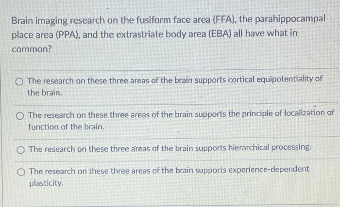 Solved Brain imaging research on the fusiform face area | Chegg.com
