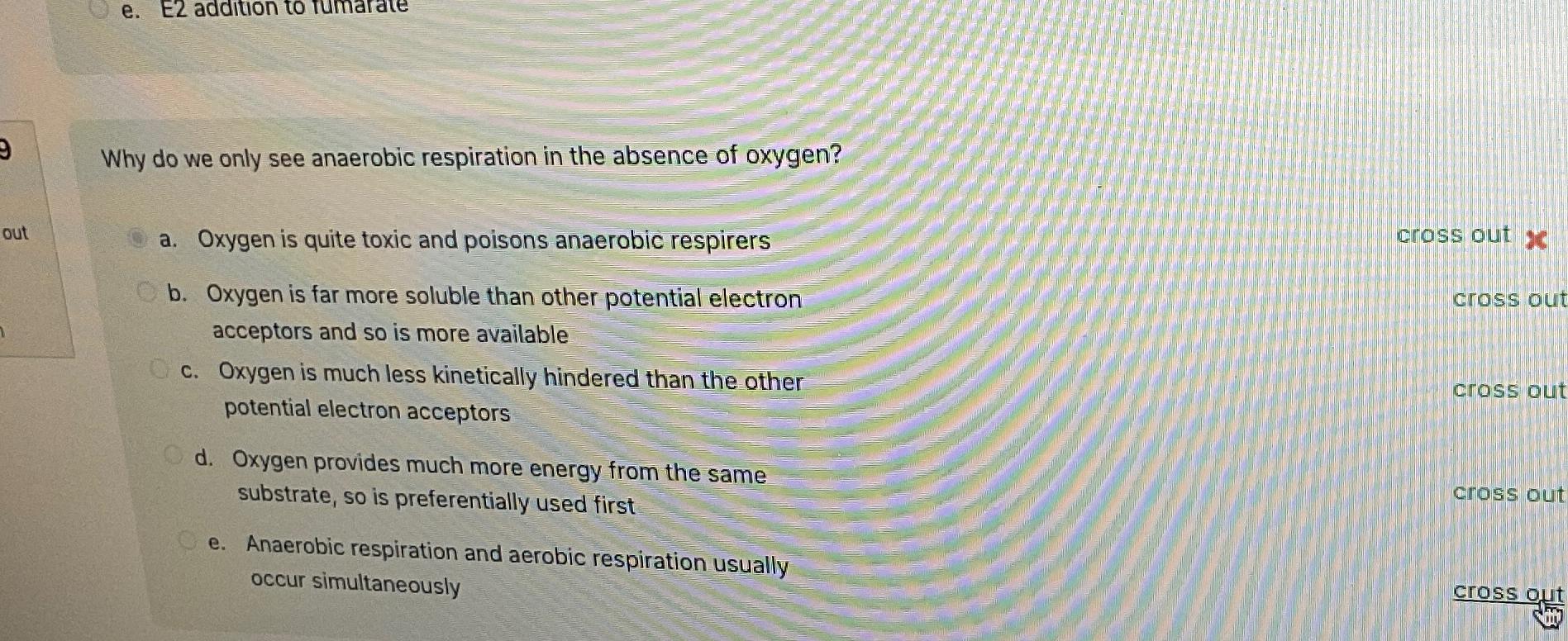 Solved Why do we only see anaerobic respiration in the | Chegg.com