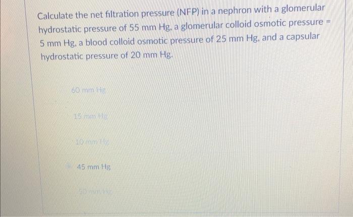 Solved Calculate the net filtration pressure (NFP) in a | Chegg.com