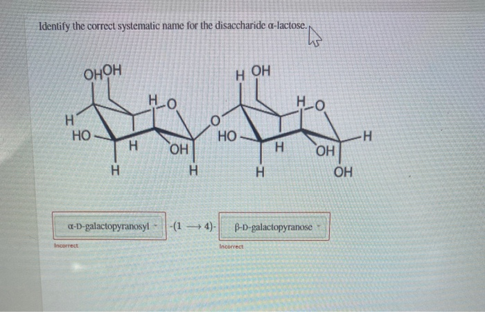Solved Identify the correct systematic name for the | Chegg.com