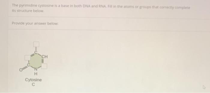 Solved The pyrimidine cystosine is a base in both DNA and | Chegg.com