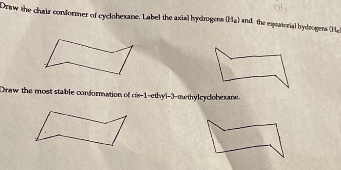 Solved CHE Draw the chair conformer of cyclohexane. Label | Chegg.com