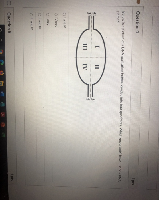 Solved Question 4 1 pts Below is a picture of a DNA | Chegg.com