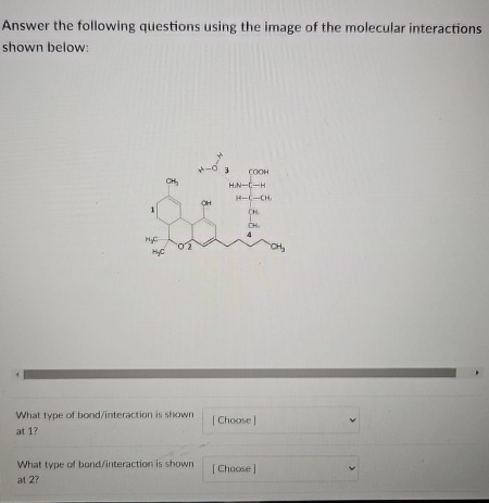 Solved Answer the following questions using the image of the | Chegg.com