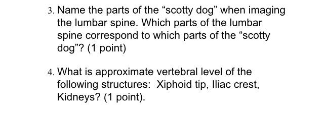 Solved 3. Name the parts of the “scotty dog" when imaging | Chegg.com