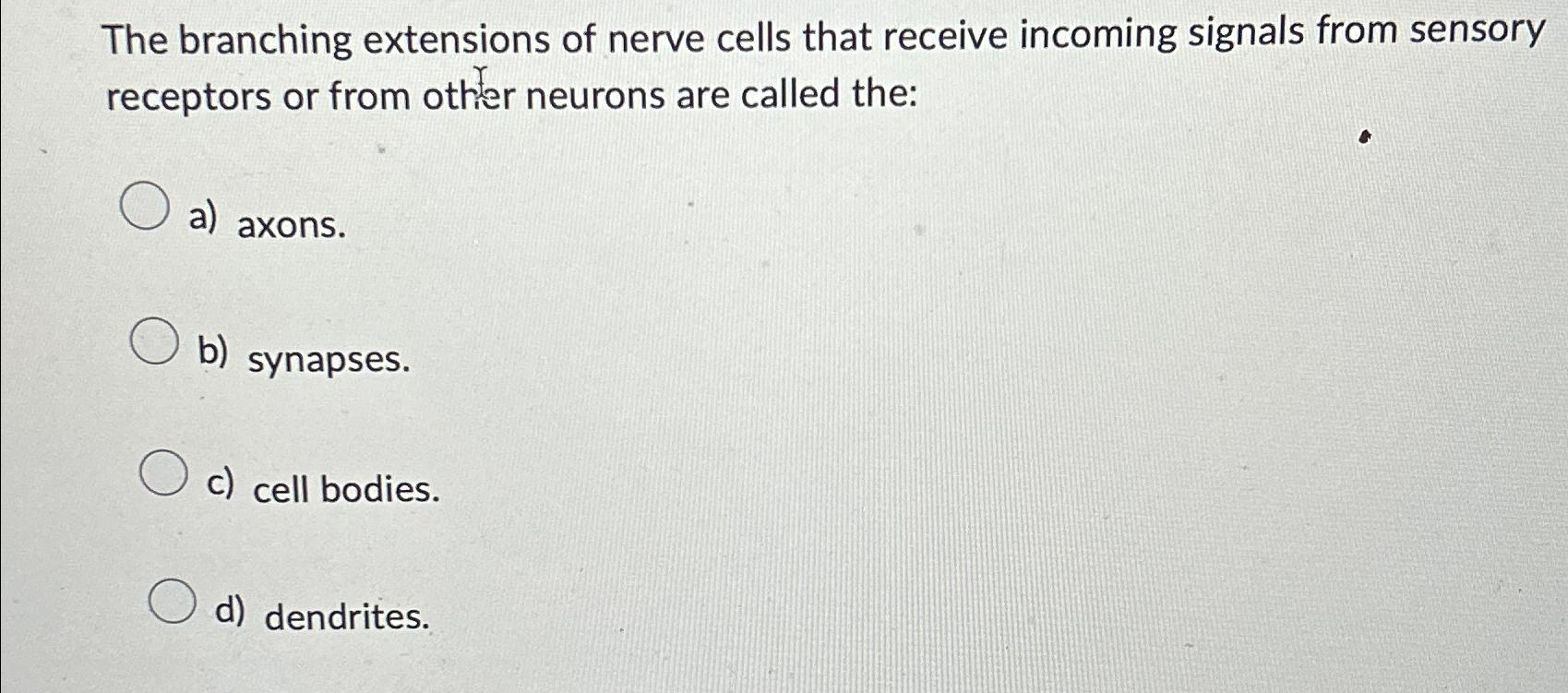 Solved The branching extensions of nerve cells that receive | Chegg.com