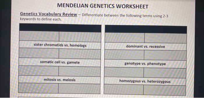 Solved MENDELIAN GENETICS WORKSHEET Genetics Vocabulary | Chegg.com