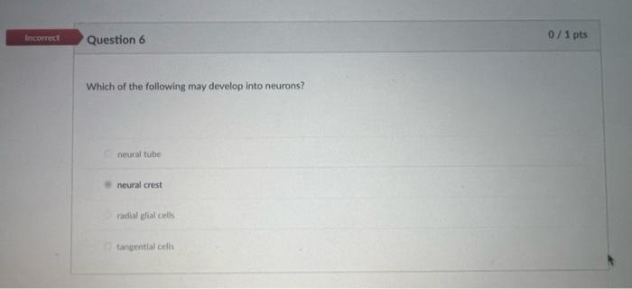 Solved Which of the following may develop into neurons? | Chegg.com