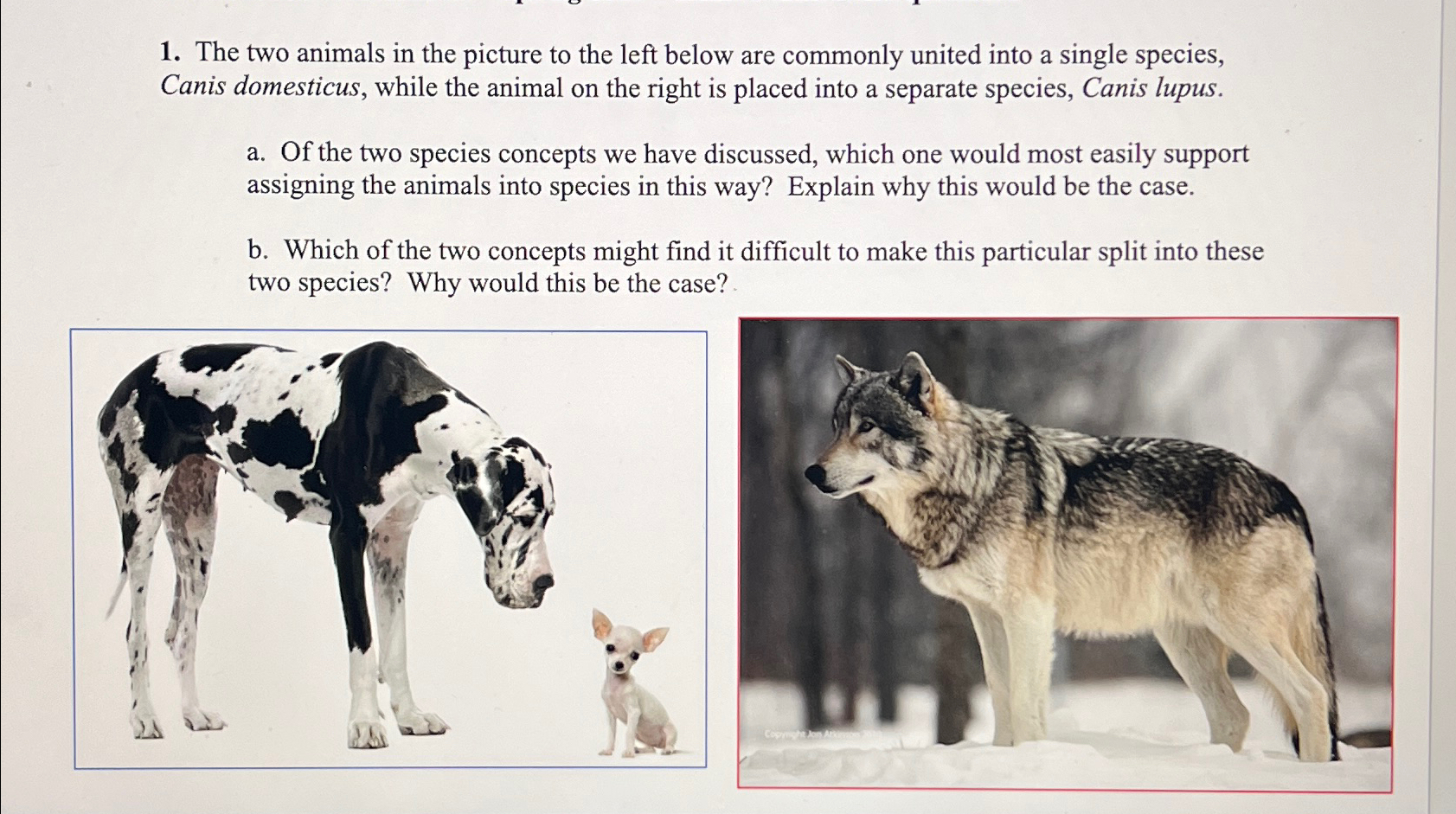 Solved The two animals in the picture to the left below are | Chegg.com