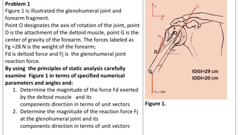 Solved Problem 1Figure 1 ﻿is illustrated the glenohumeral | Chegg.com