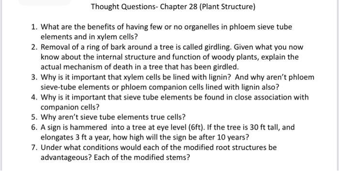 Solved Thought Questions- Chapter 28 (Plant Structure) 1. | Chegg.com