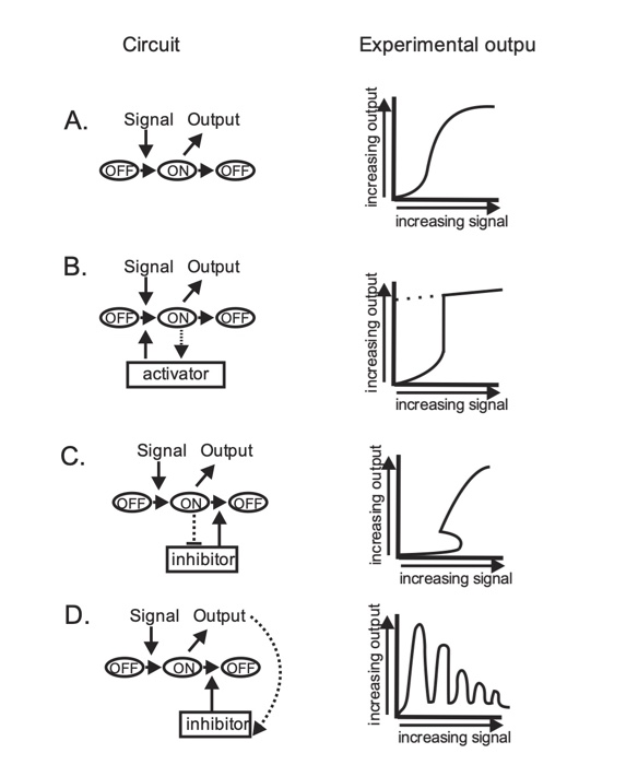 In the picture below, there is a figure showing | Chegg.com