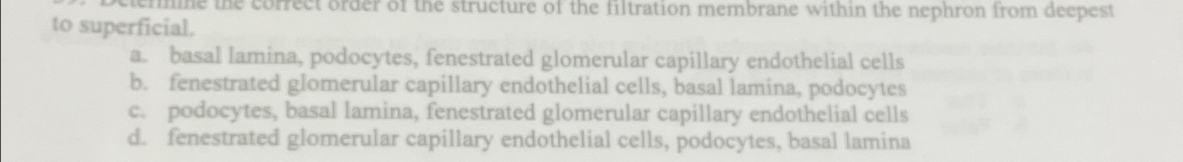 Solved to superficial.a busat lamina, podocytes, fenestrated | Chegg.com