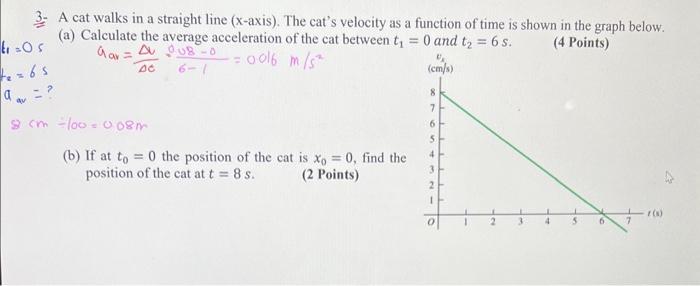 Solved A cat walks in a straight line ( x-axis). The cat's | Chegg.com